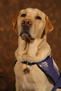 Lunatic's Asylum: Endal: How one amazing dog is still changing the ...