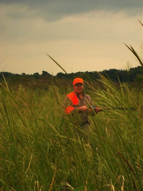 Main Line Sportsman: Rail Bird Hunting