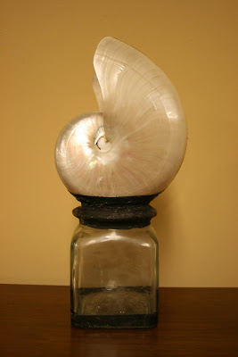 The Zuniga Interiors Collection- Cross Bottles-Shell Bottles-Bejeweled ...