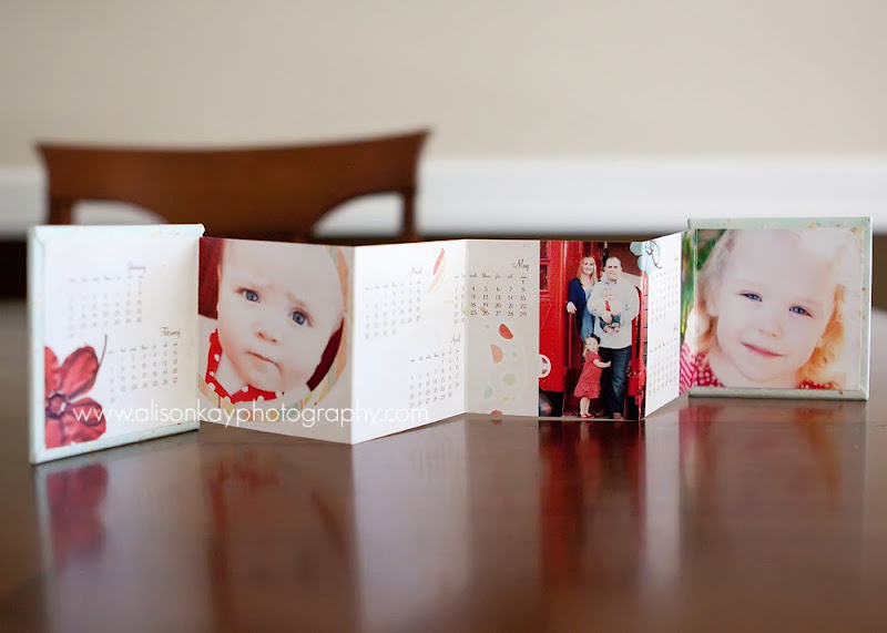 Alison Kay Photography- Newborn, Child, Family & Engagement ...