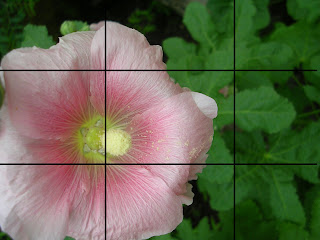 Simple.Amazing.Photography: Center of Interest