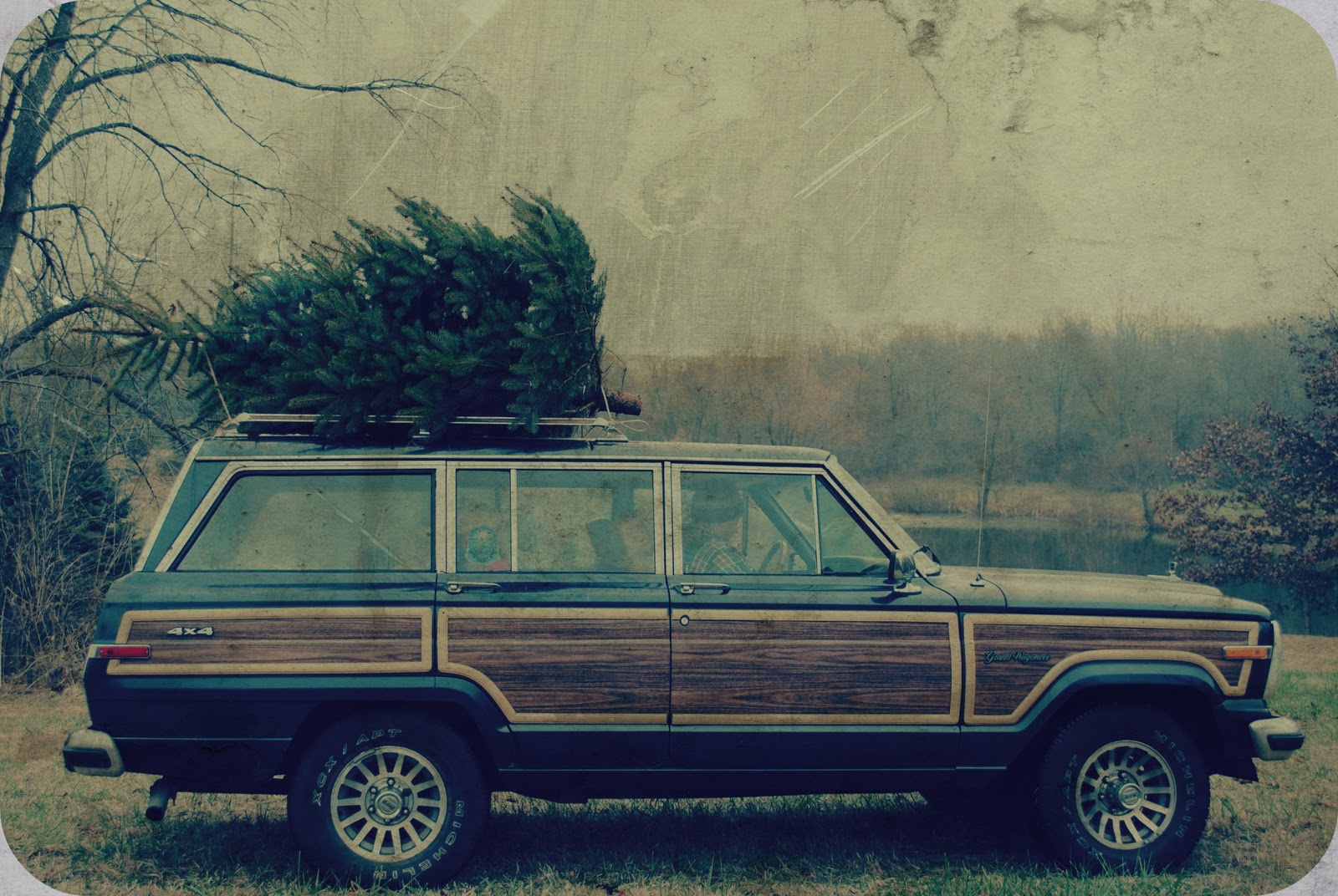 Lucky Number13: {oh, christmas tree}