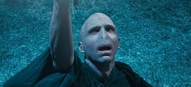 The Face of Evil: Lord Voldemort on Deathly Hallows Part 1 | Jori's ...