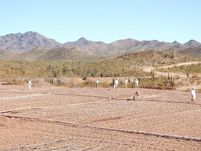 EL ZETA 1000 Noticias de Caborca: LA VERDAD DE MINERALES “LA NEGRA ...