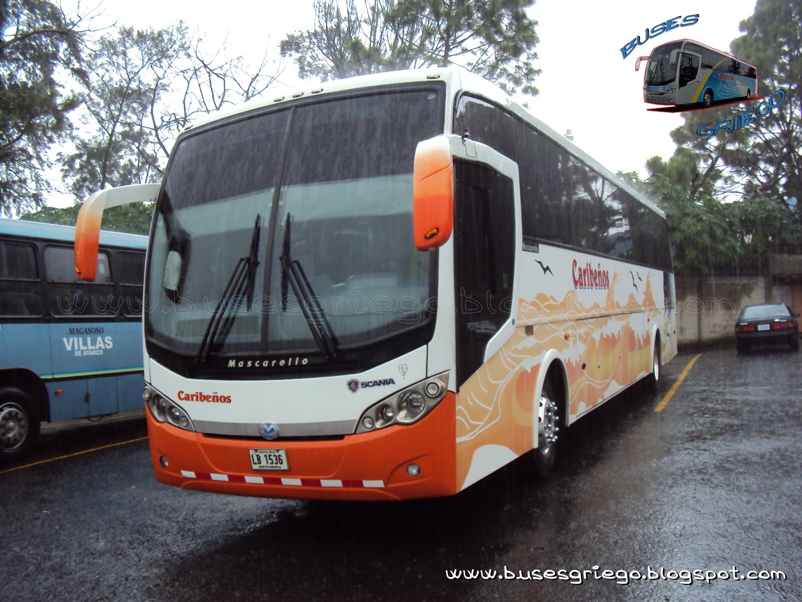 buses griego: GALERIA 11