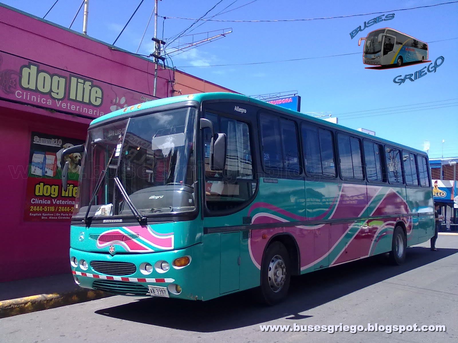 buses griego: GALERIA 24 (18/12/10)