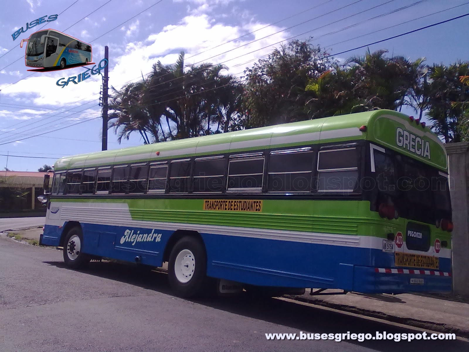 buses griego: GALERIA 24 (18/12/10)