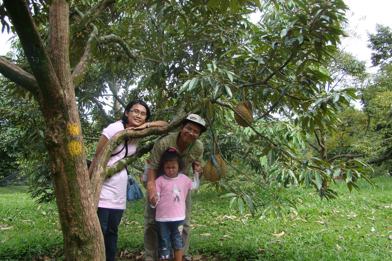 ceritacantik: Wisata Durian di Warso Farm, Bogor