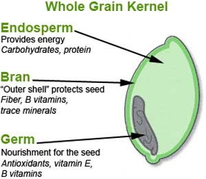 Nutrition Idiocracy: The Whole Story