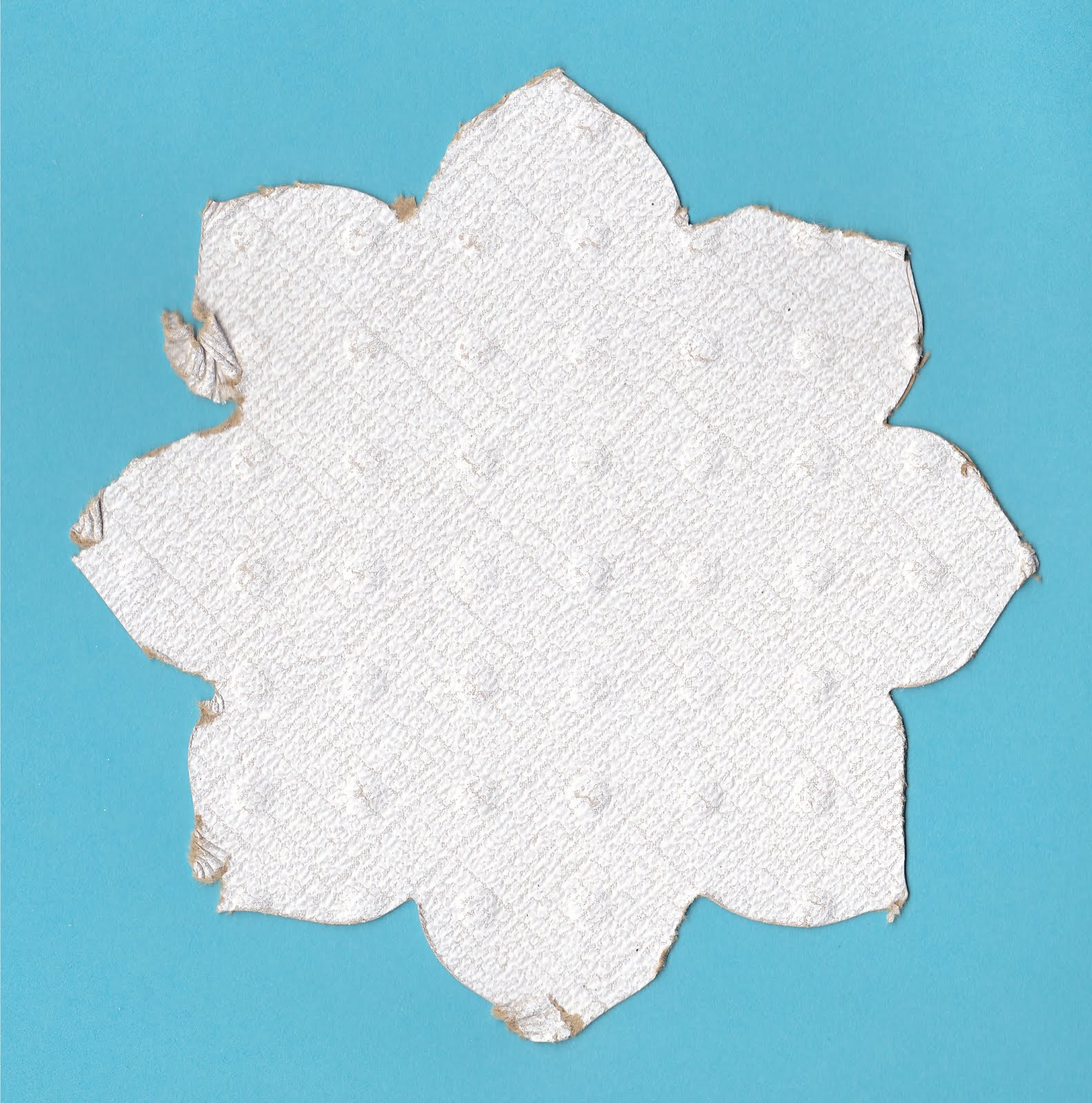 Create and Cut: Paper Grain as a Possible Factor