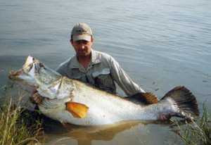 Big Fish Sweden: Big Nile Perch in Uganda