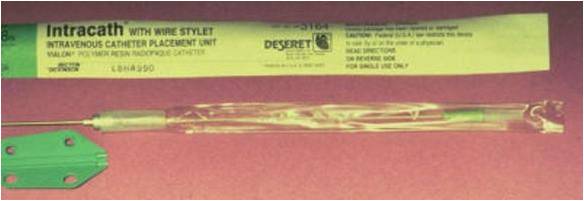 Veterinary Practice: Intravenous Catheterization Techniques & Taping ...