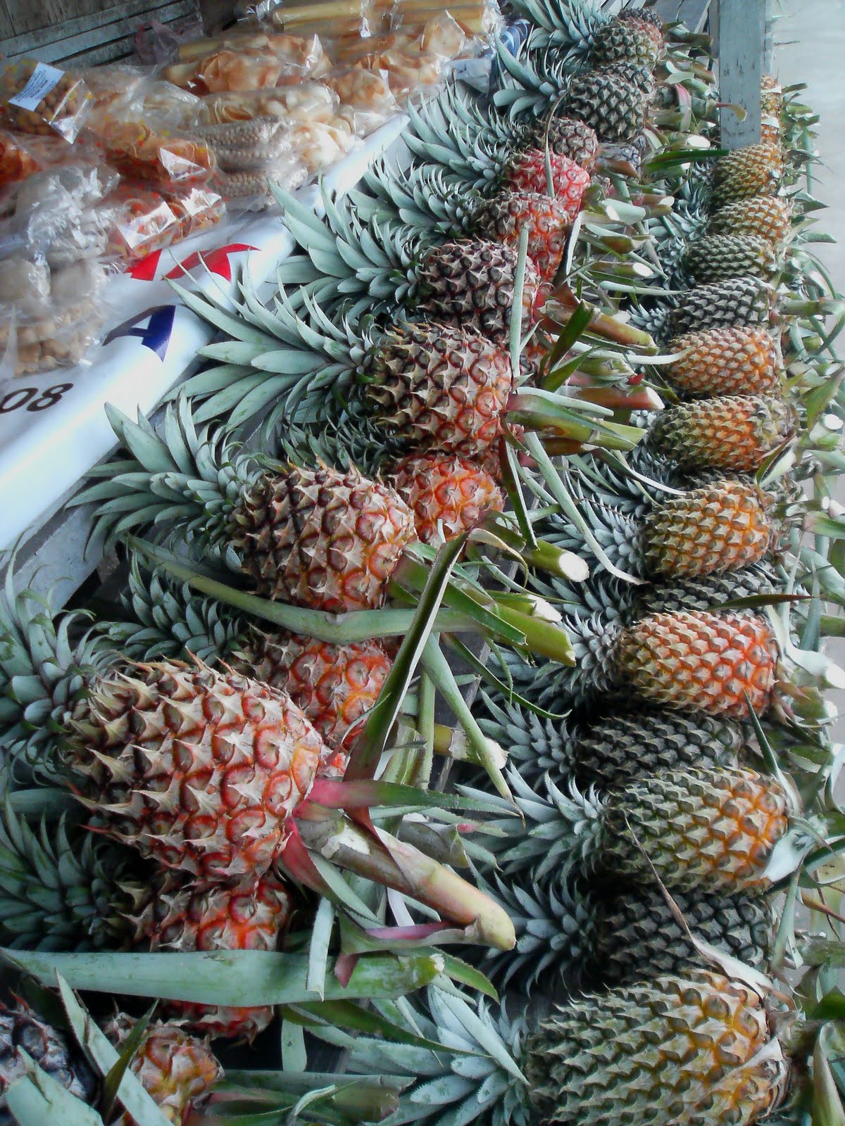 My Sarawak 3rd Ed Unique Fruits my-sarawak-3rd-ed-unique-fruits