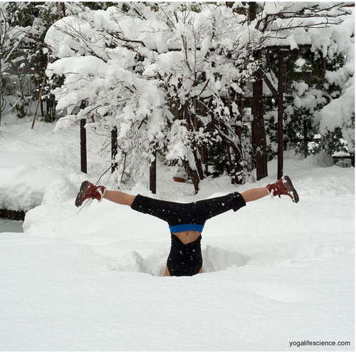 Bliss in Print: YOGA + SNOW