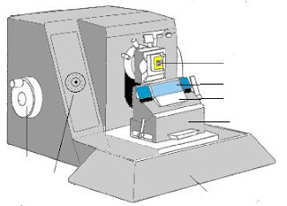 El Blog de Laboratorio: PTP ACTIVIDADES TEMA 5 EL MICROTOMO