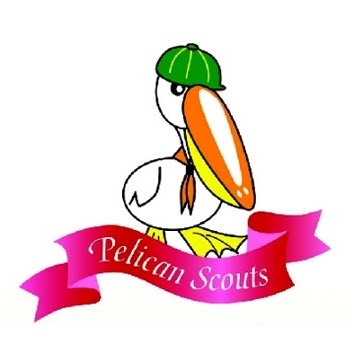 Henry Park Pelican (Cub) Scout: Scout Craft
