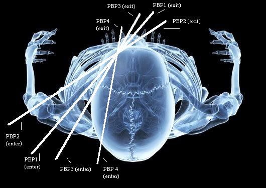 The X Spot: March 2010