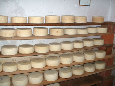 Livanjski sir - obiteljska tradicija i kvalitet