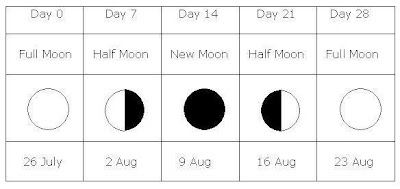 Road to PSLE: Calculating the Phases of the Moon