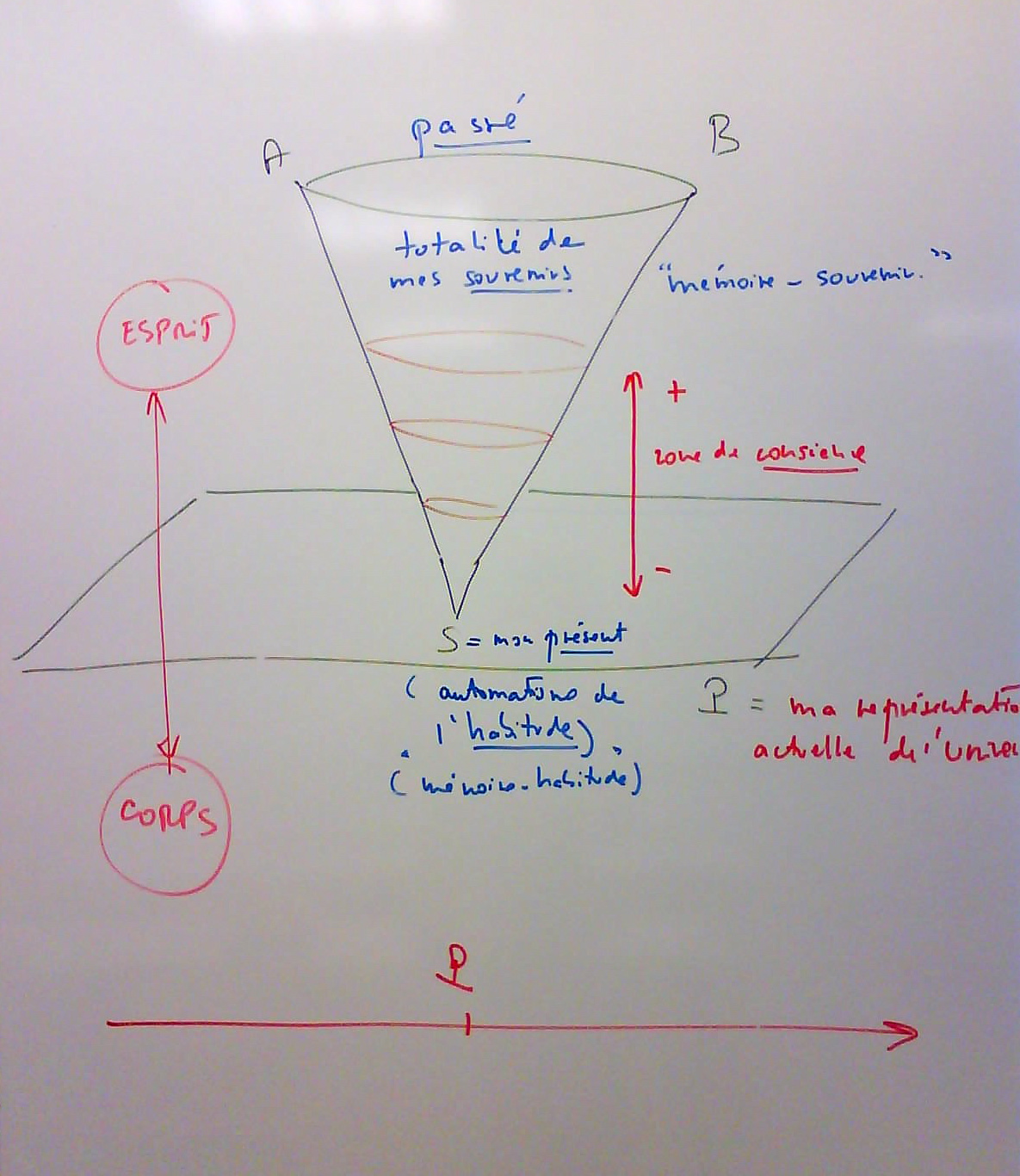 blog-notes philo: Le "cône" de Bergson