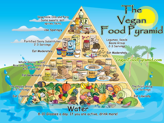 ! RABBIT IN THE WEB !: Rabbit's Food Pyramid