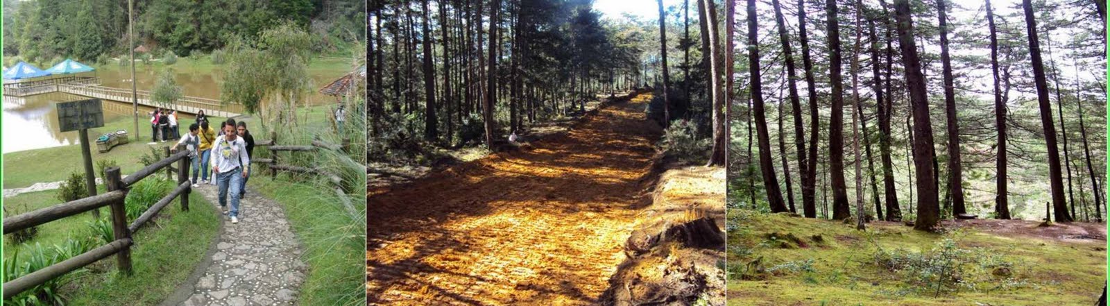 PARQUE ECOLÓGICO PIEDRAS BLANCAS: SENDEROS ECOLÓGICOS