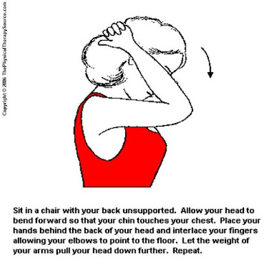 Cervical Exercises from ThePhysicalTherapySource.com