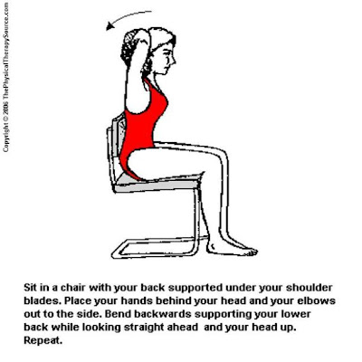 Thoracic Exercises from ThePhysicalTherapySource.com