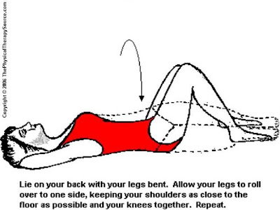 Trunk / Pelvis Exercises from ThePhysicalTherapySource.com: Trunk ...