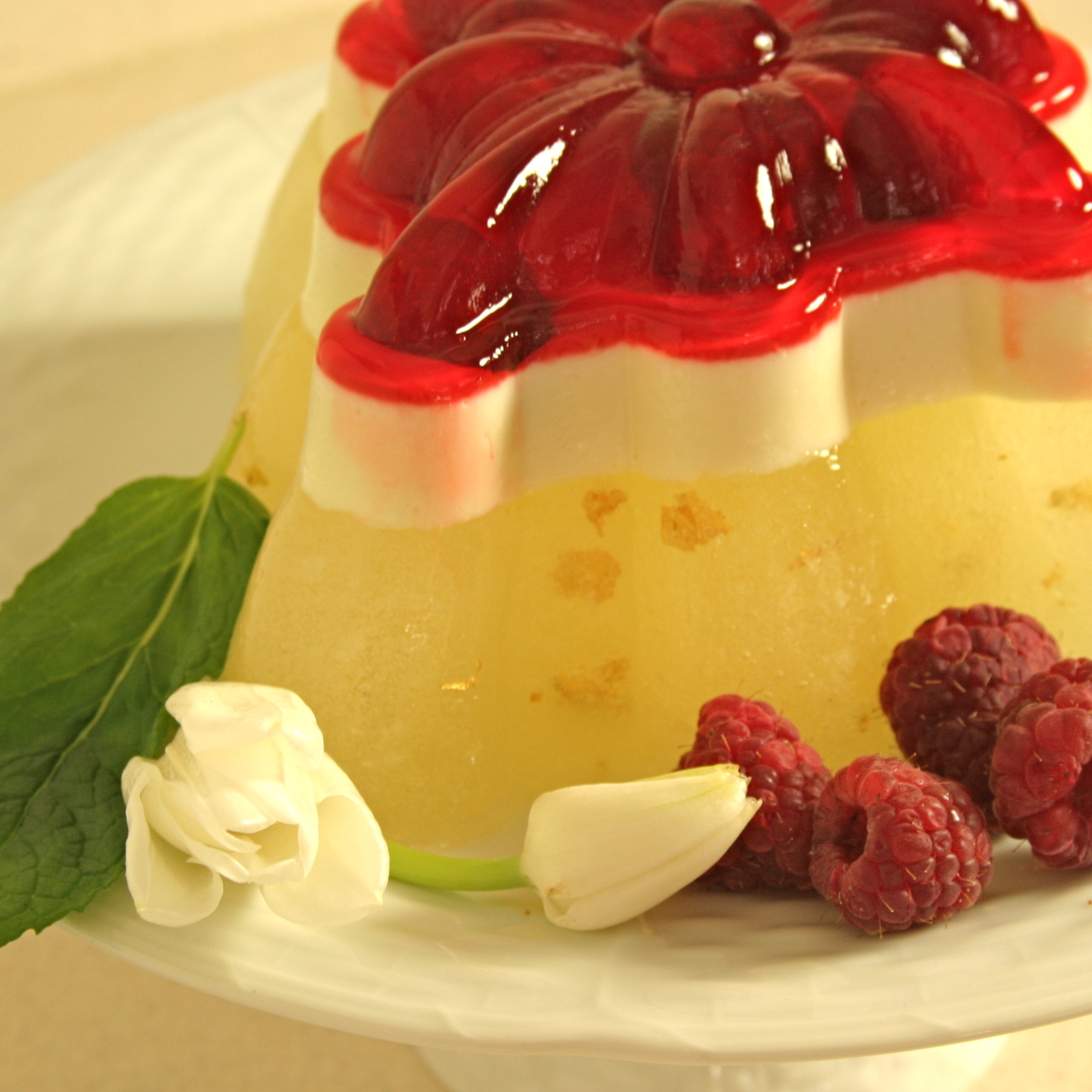 All Our Fingers in the Pie: Champagne and Raspberry Congealed Salad