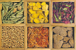 Jenis-jenis Simplisia (Tanaman Obat) dan Manfaatnya ~ SMKCBPANTONLABU