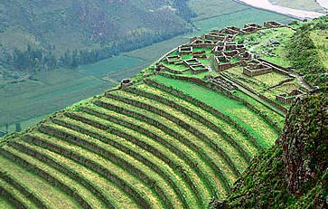 Historia y Cultura del Peru: Agricultura Incaica