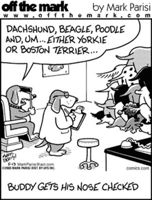 The Forward Stops Here: 'off the mark' Comics by Mark Parisi