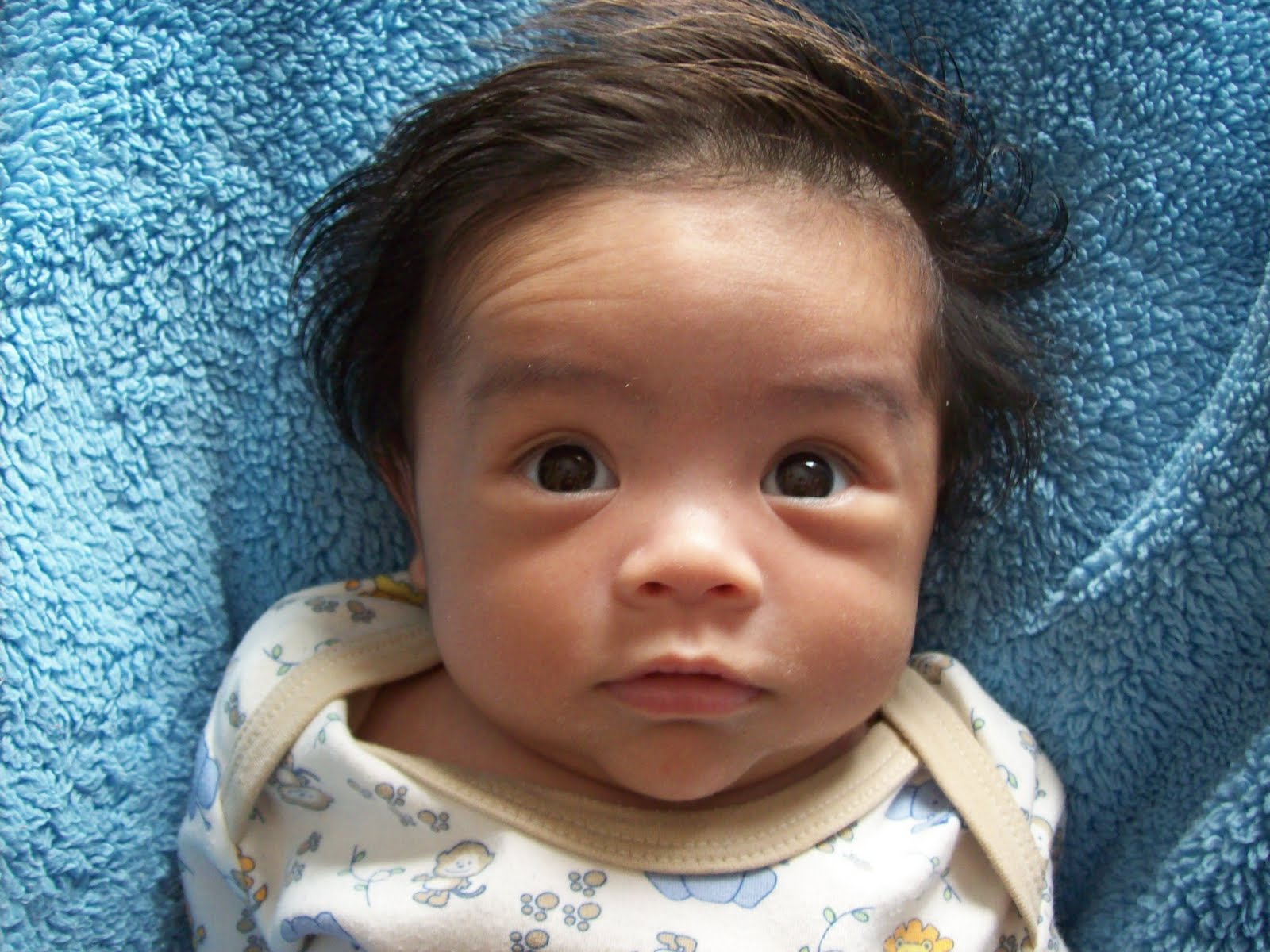 A Baby Diary In Pictures: 68-day-old Russell...