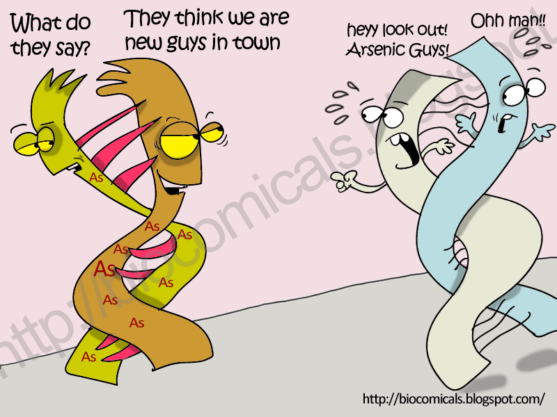 Biocomicals: December 2010