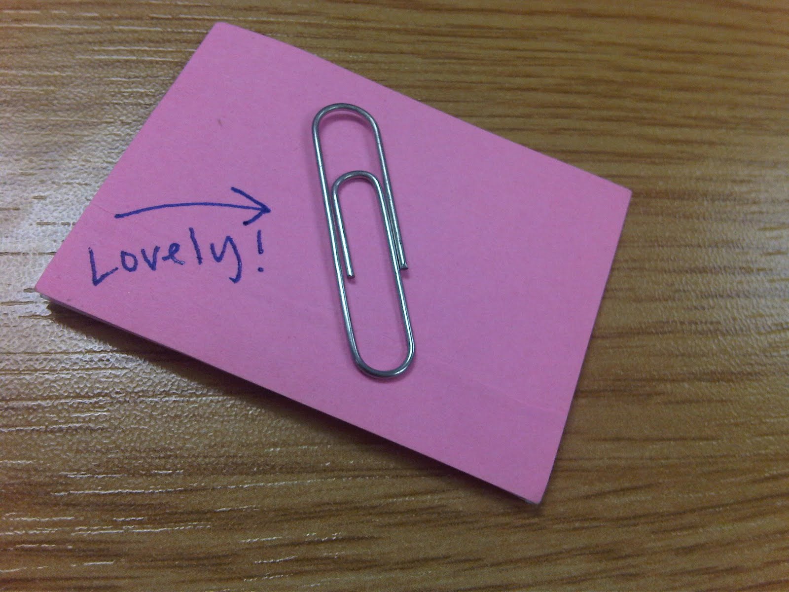 Paper Clip Project: Is this the most stupid thing I have ever done?