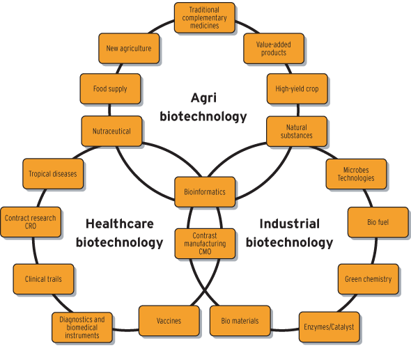 Prinsip Dasar Bioteknologi | BIOLOGIPEDIA
