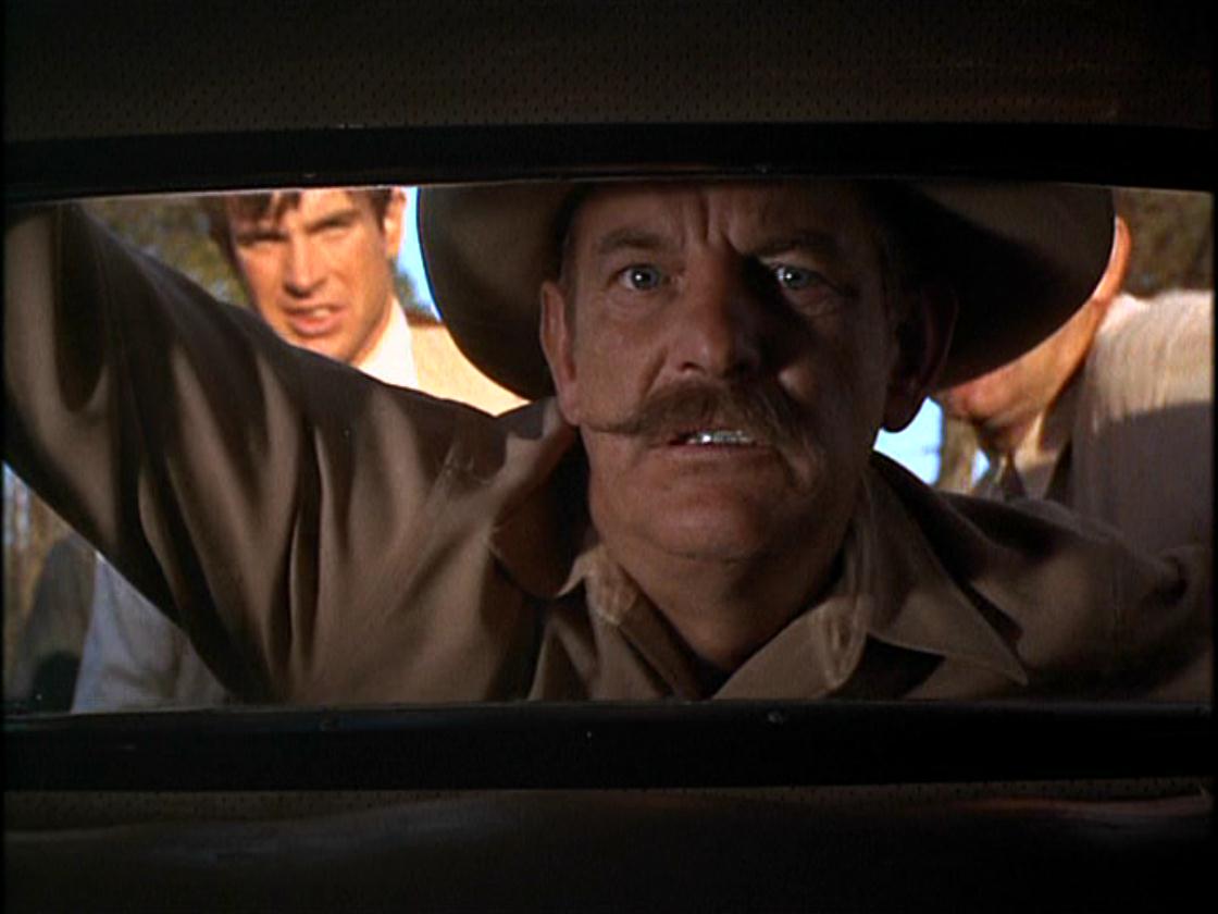 Leo the Listmaker's Pop Culture Palace