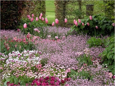 Maximizing Progress: Monet's Garden ~ Invented Landscape in Giverny