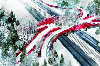 Maximizing Progress: Critter Crossings ~ Wildlife-Friendly Roadways...