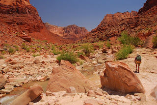 Hayduke Trail 2008: Lower Paria Gorge (Days 61-65)