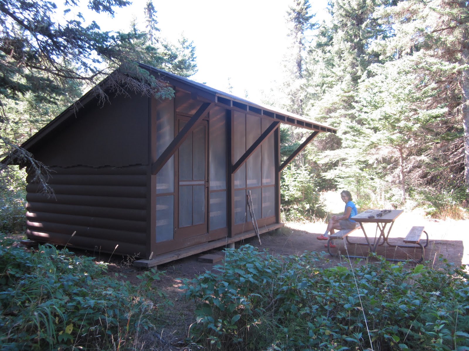 1000+ images about A cabin in the bush. on Pinterest | Cabin, Log ...