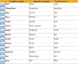 Animals: Vocabulary: Forest Animal (animales del bosque)