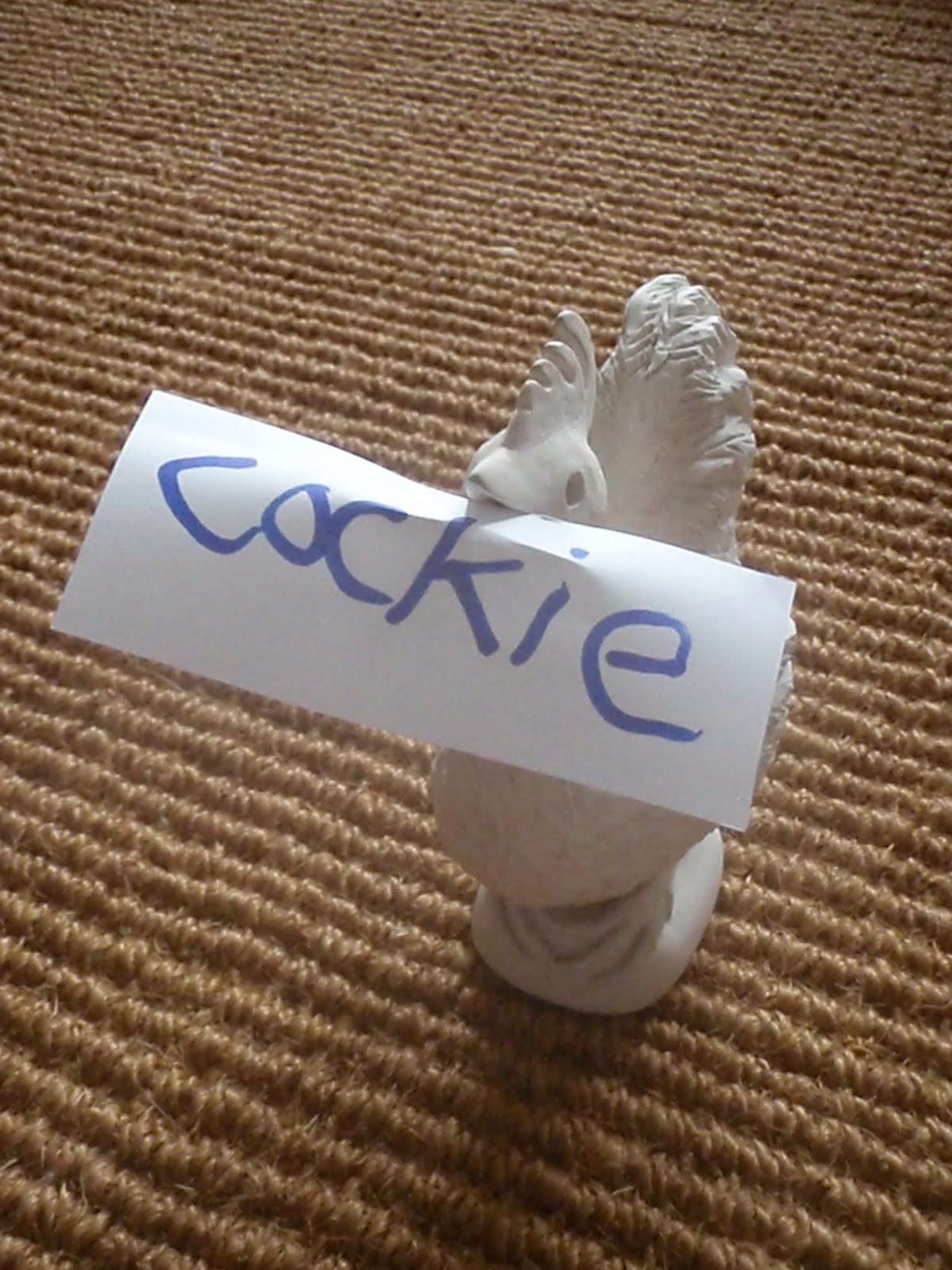 Bike Snob NYC: Putting it Out There: BRAs, Belts, and Cockies