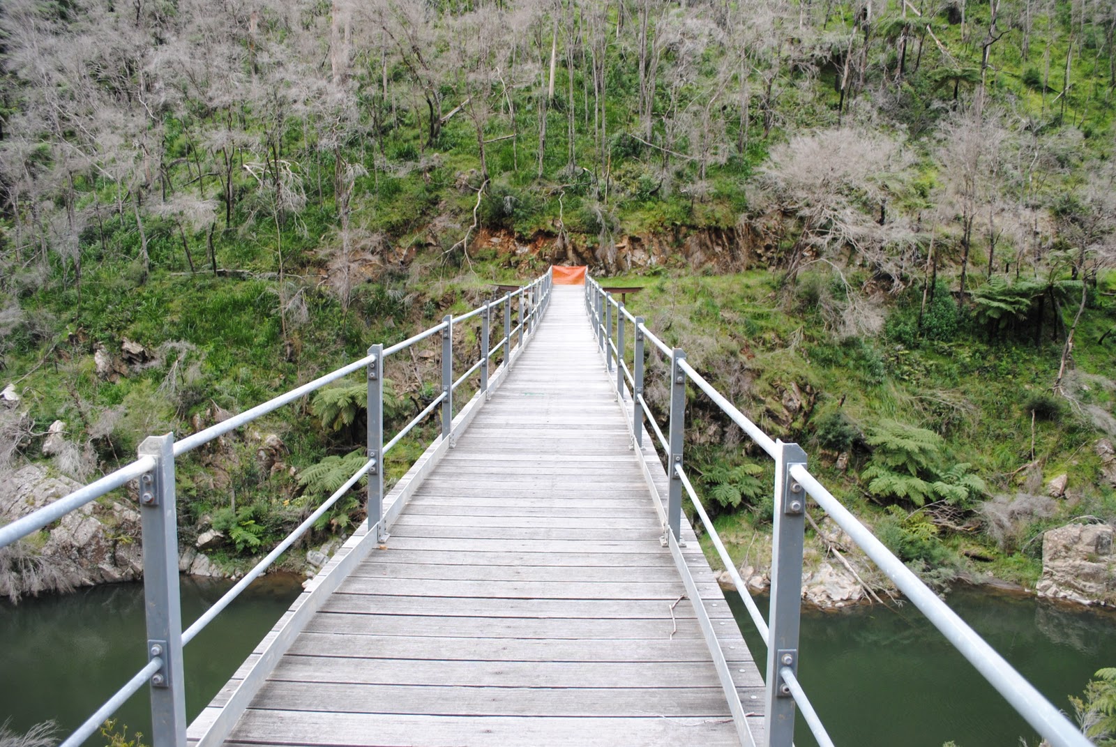 Poverty Point Bridge Walk - Baw Baw National Park, Walhalla...