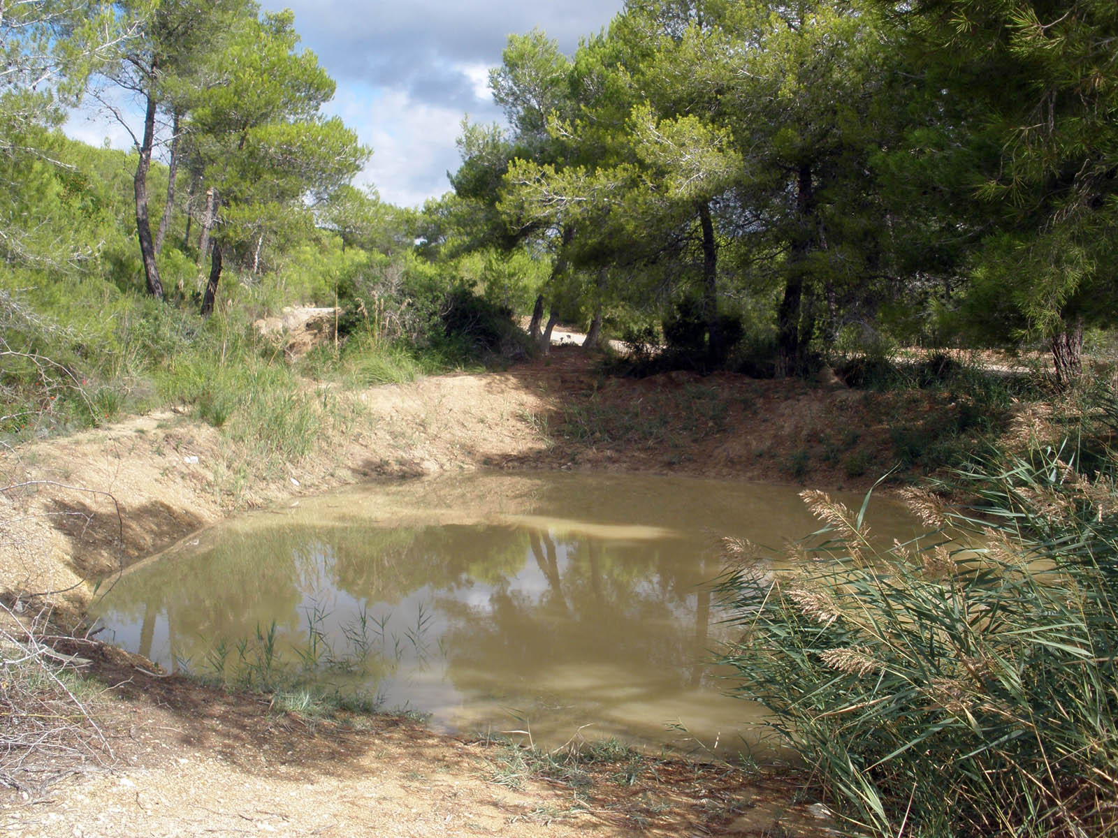 Franclips: DE GARRAF A SITGES. POR EL PARC NATURAL DEL GARRAF. RUTA DE ...