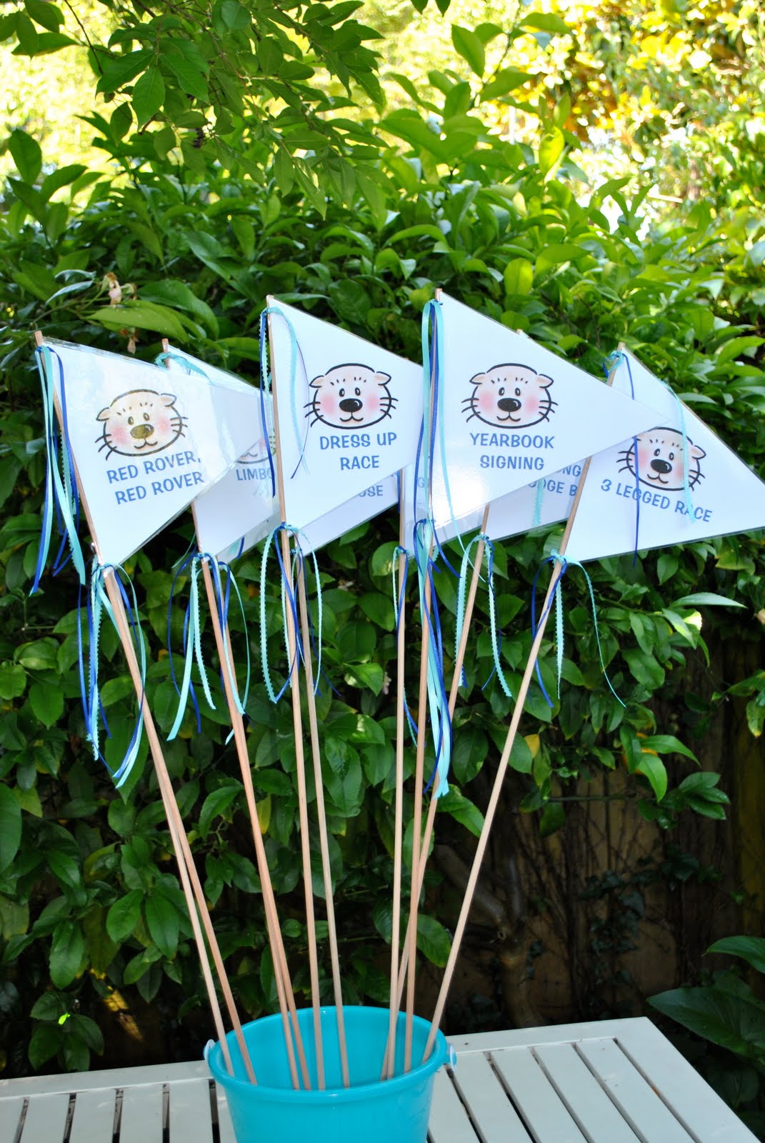 Jac o' lyn Murphy: Field Day Flags...