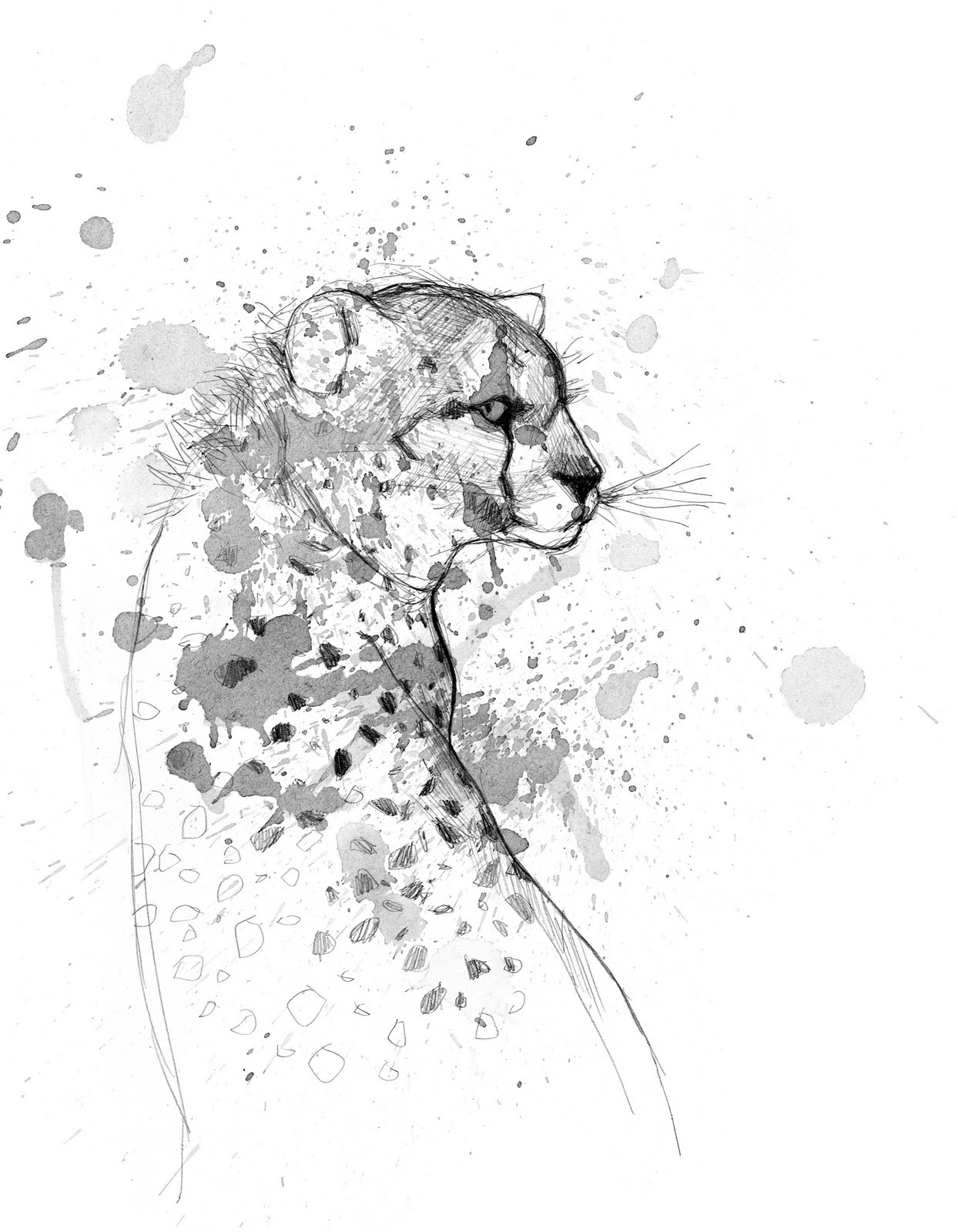 Khimair: Bocetos animales