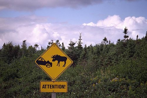 20 Challenging Unusual Road Signs ~ Unusual Things