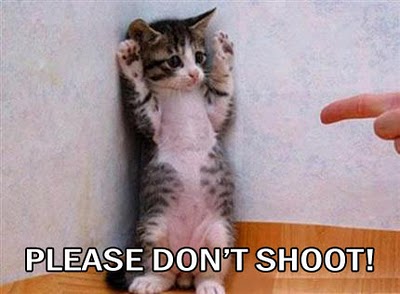 LIKE AND SHARE: 15 Most Funny lol cats